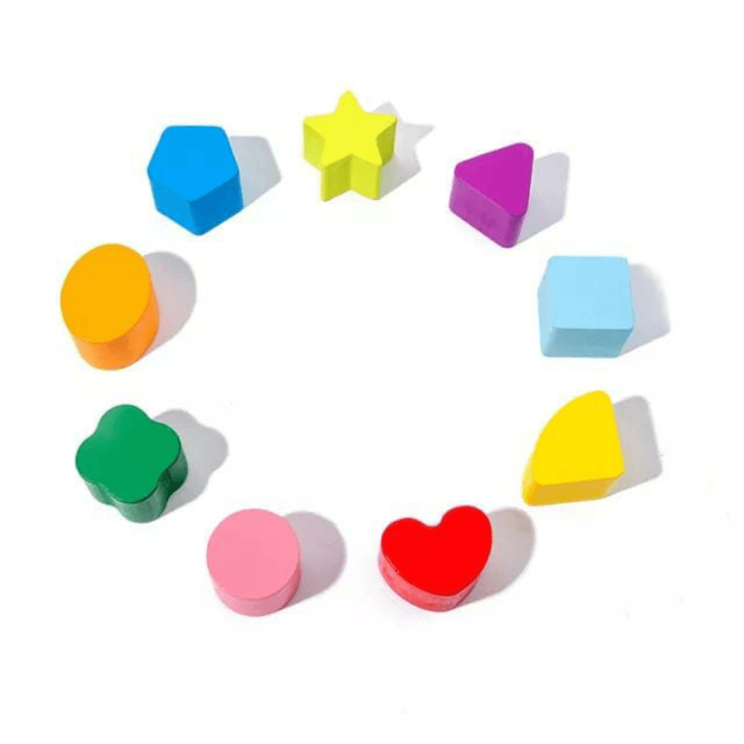 Shape Matching Toy - Monty Maestro